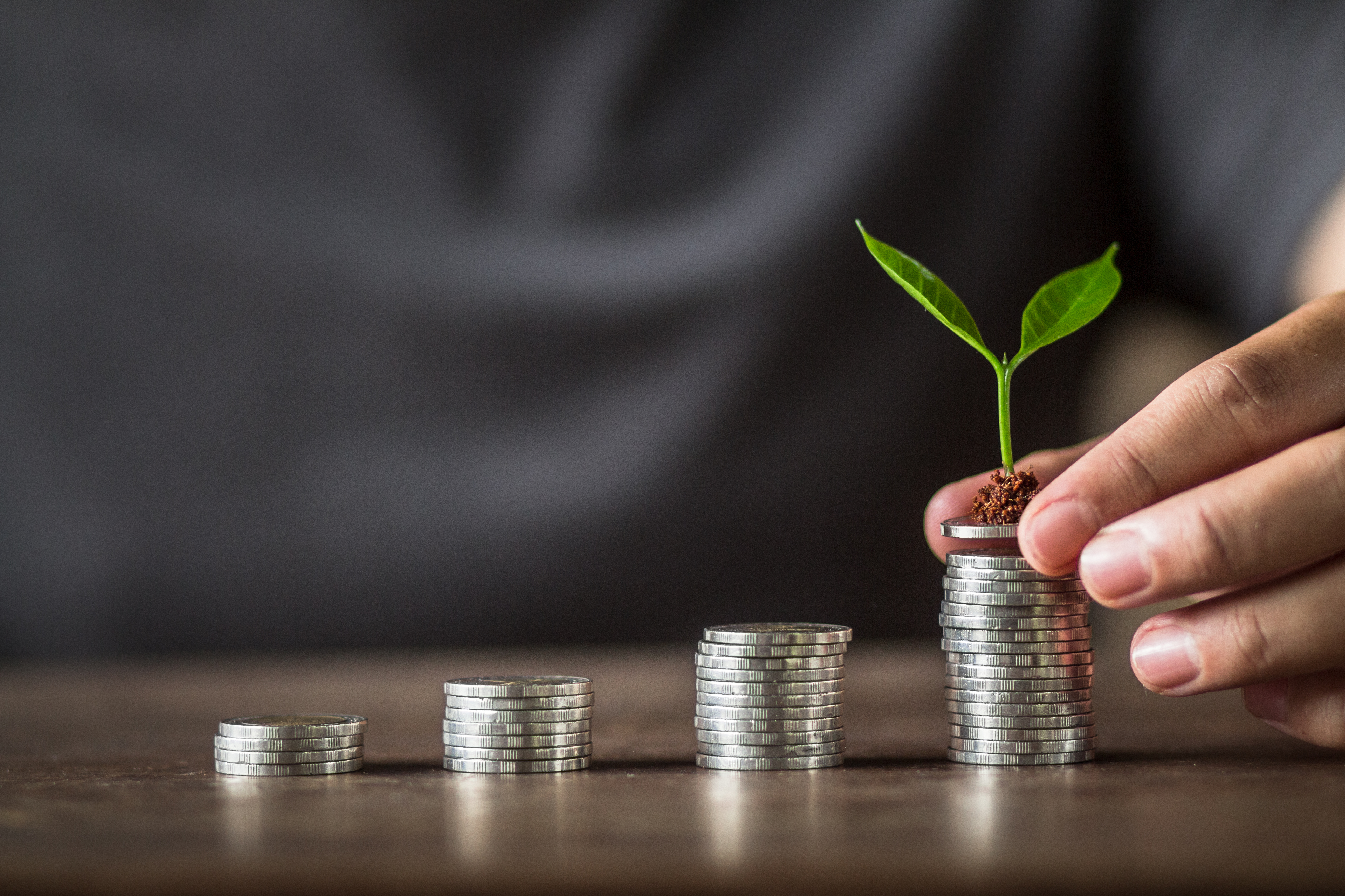 - Investment option - Life